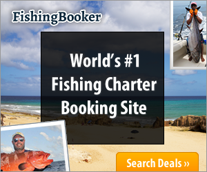 Yellowtail Jack Fishing Tips, How to catch Yellowtail fish, yo-yo ...